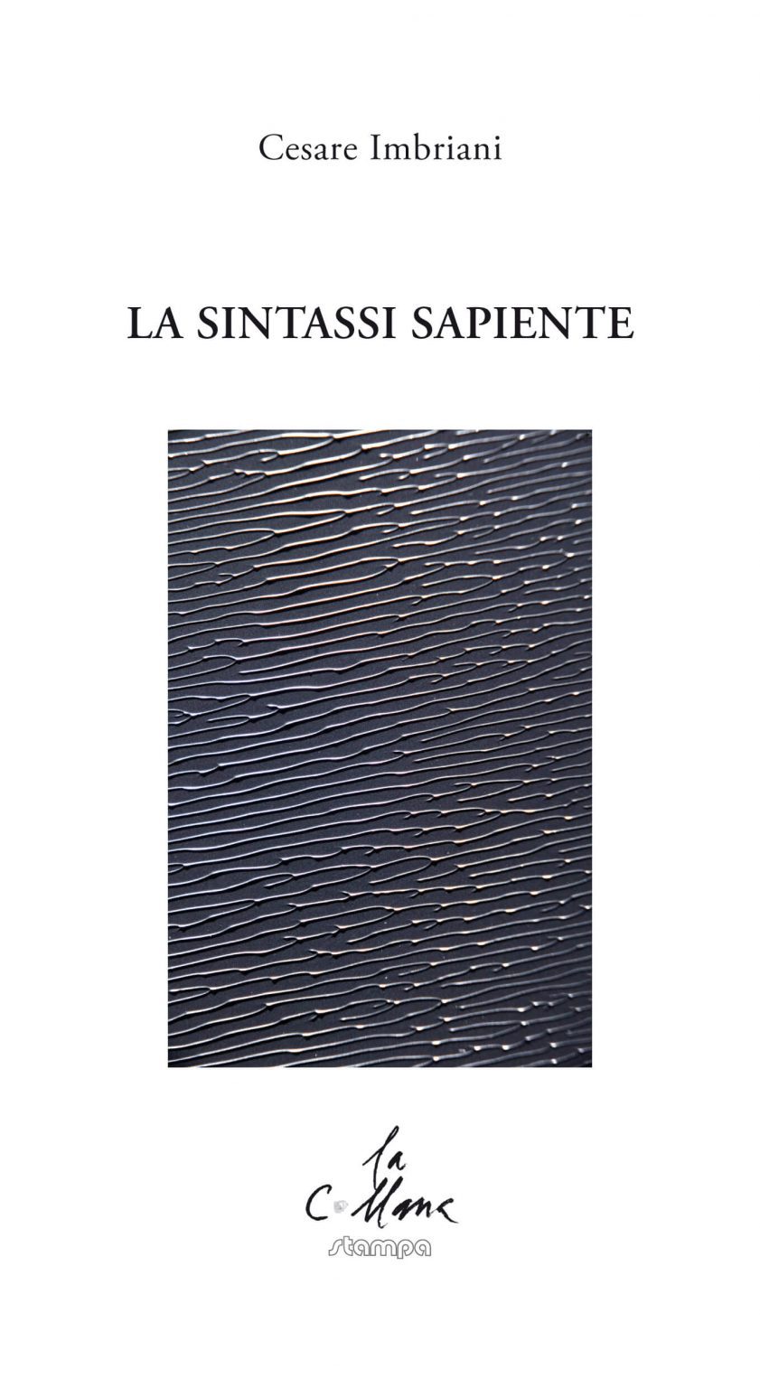 La sintassi sapiente – Stampa2009